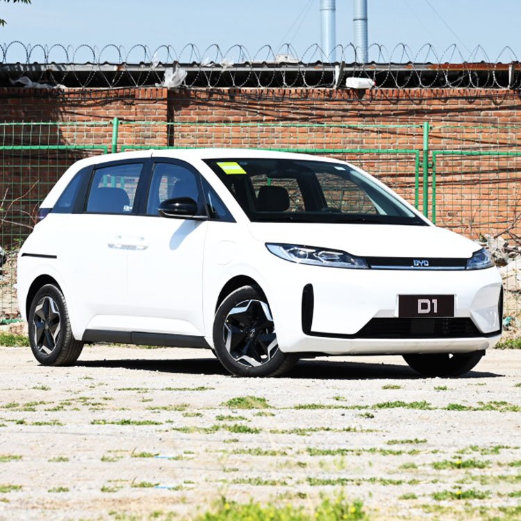 BYD D1 - New Energy Electric Vehicle Sedan/SUV/Van Left Steering Wheel ...