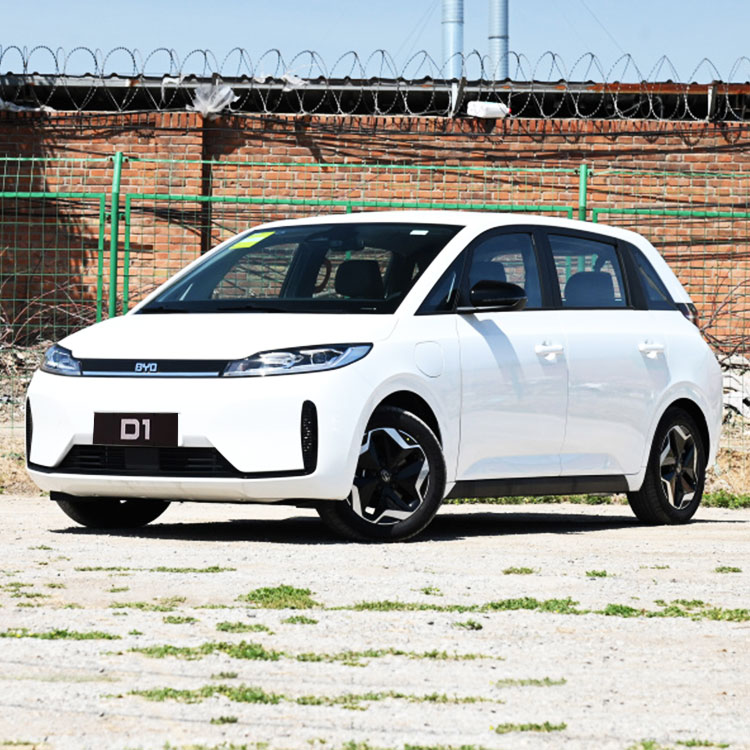 BYD D1 - New Energy Electric Vehicle Sedan/SUV/Van Left Steering Wheel ...