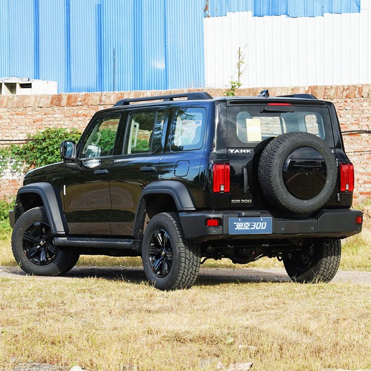 GWM TANK 300 - New Energy Electric Vehicle Sedan/SUV/Van Left Steering ...