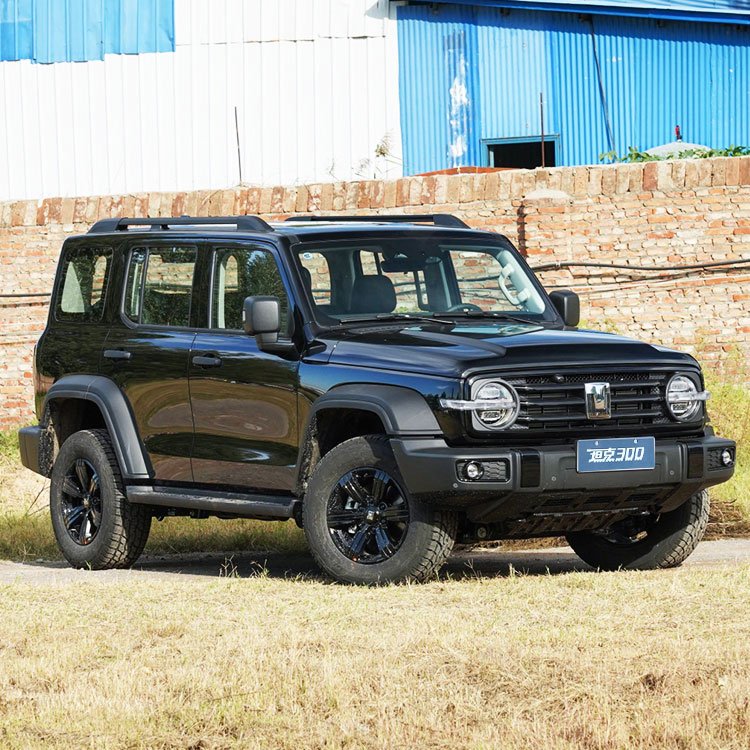 GWM TANK 300 - New Energy Electric Vehicle Sedan/SUV/Van Left Steering ...