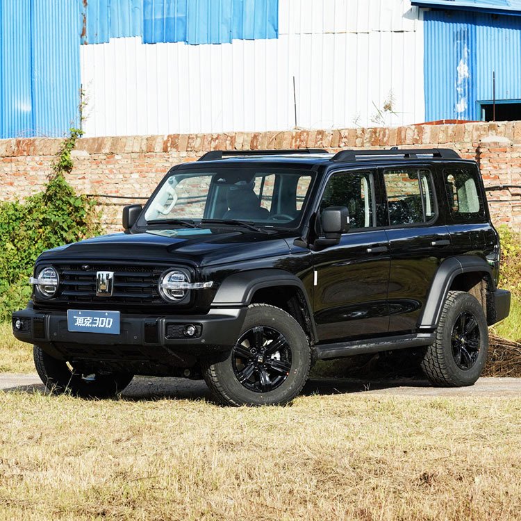 GWM TANK 300 - New Energy Electric Vehicle Sedan/SUV/Van Left Steering ...