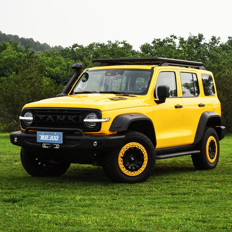 GWM TANK 300 - New Energy Electric Vehicle Sedan/SUV/Van Left Steering ...