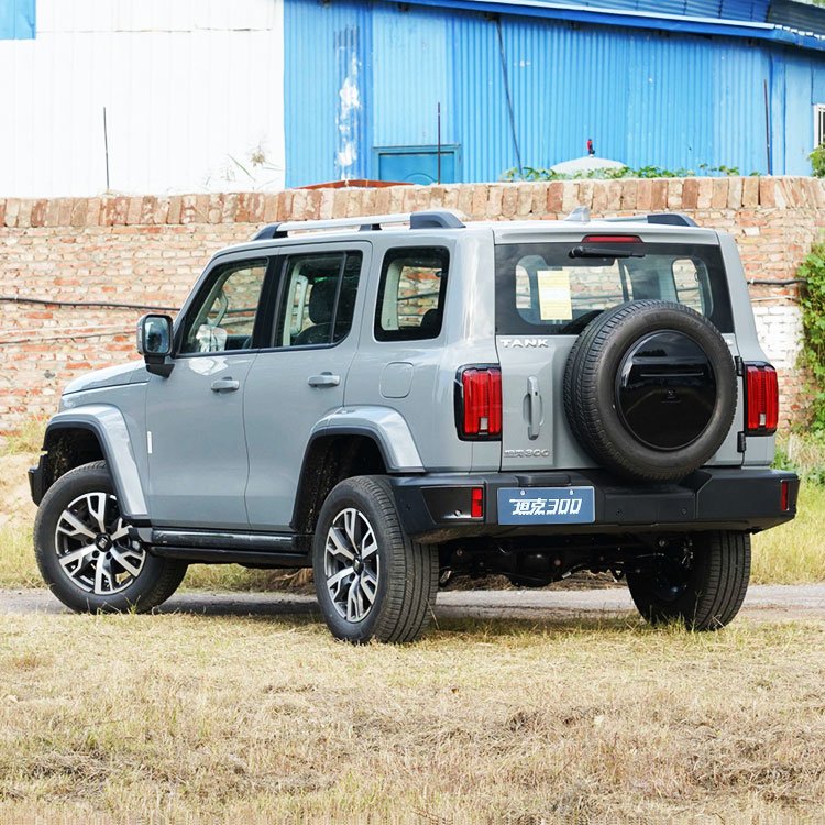 GWM TANK 300 - New Energy Electric Vehicle Sedan/SUV/Van Left Steering ...