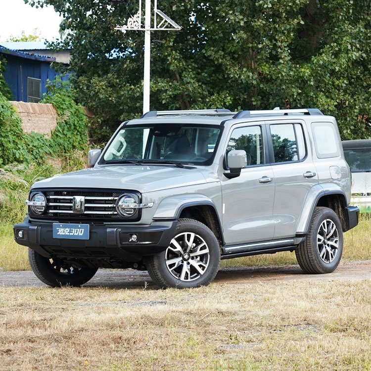 GWM TANK 300 - New Energy Electric Vehicle Sedan/SUV/Van Left Steering ...