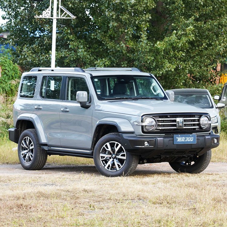 GWM TANK 300 - New Energy Electric Vehicle Sedan/SUV/Van Left Steering ...